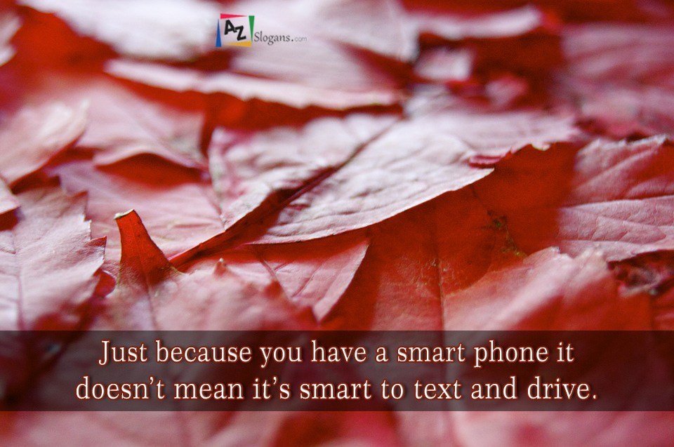 Texting While Driving Slogans